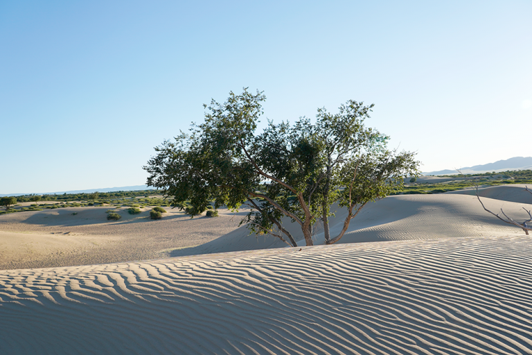 SSER ORGANISATION PRESENTATION 2025のご案内 – デキルダケ日刊ONLINE SSER PRESS